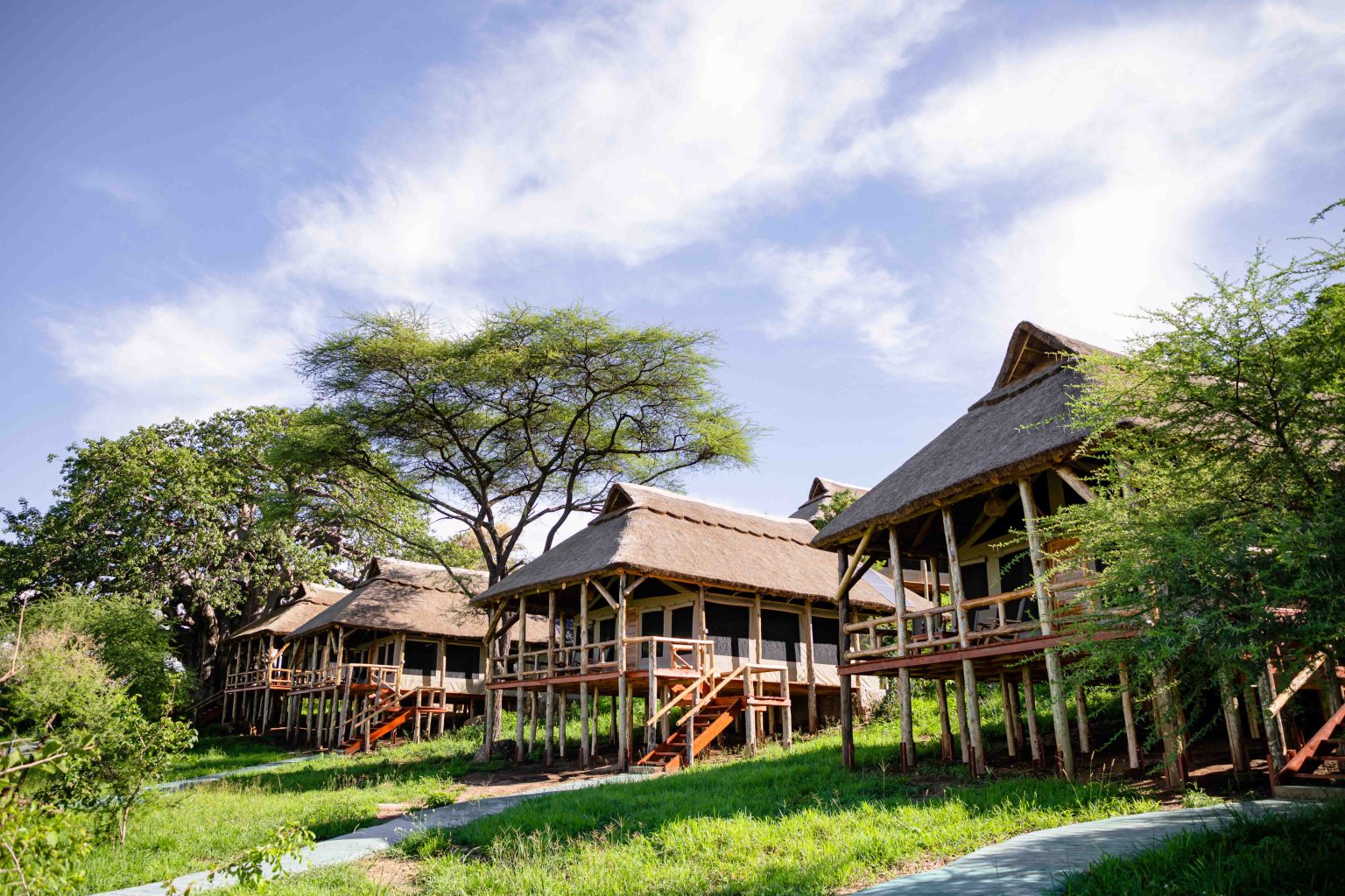Home - Sangaiwe Mbuyu Tented Camp